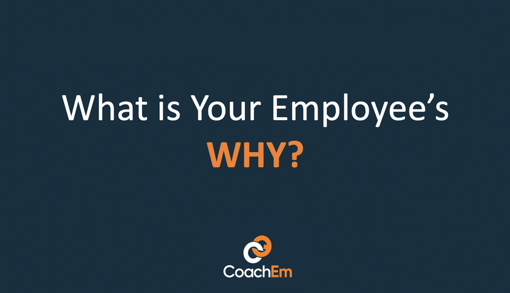 Practical Goal Setting: Identifying Your Why (and Your Team’s Whys ...